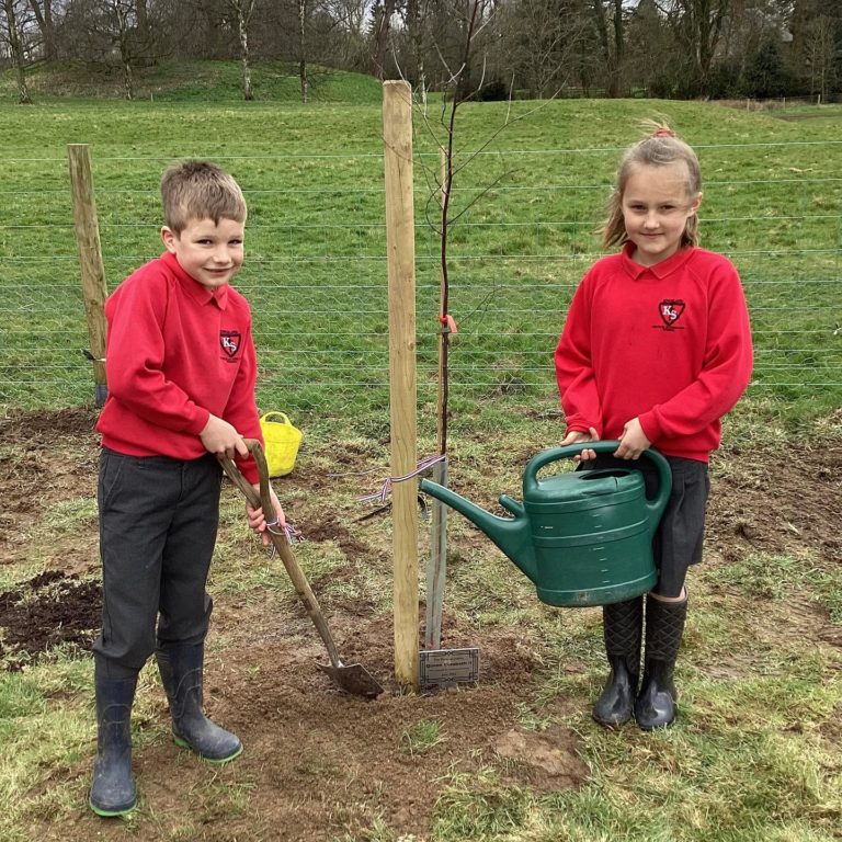 Silver birch planting at Kingsland Primary School for QGC – High ...